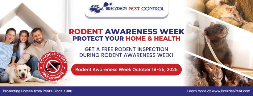 Rodent Awareness Week | Protect Your Home & Health